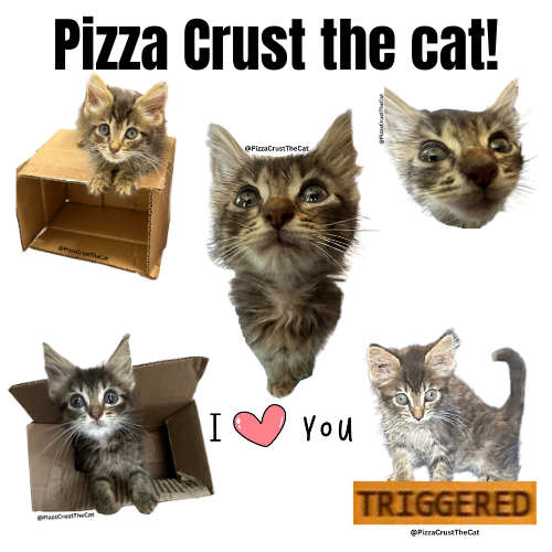 Pizza Crust The Cat Stickers – Favor Universe
